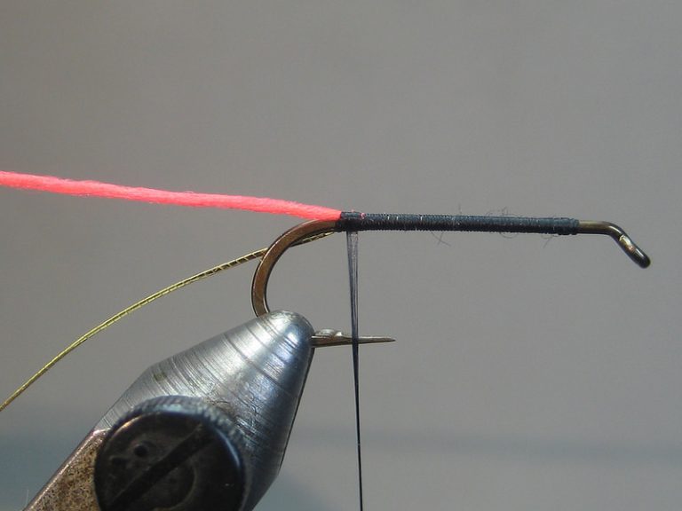 Tom Jones Fly - The Fly Box - Hastings Fly Fishers