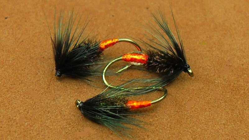 Soft Hackle Black and Peacock Spider Variation - The Fly Box - Hastings ...