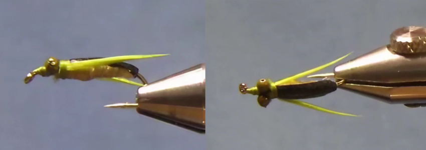 The Fly Box Archives - Hastings Fly Fishers